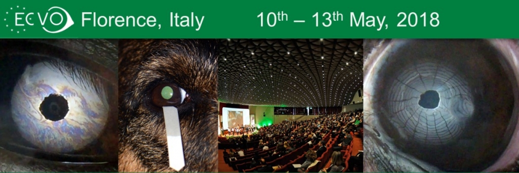 ecvo imagen1 - AJL Ophthalmic
