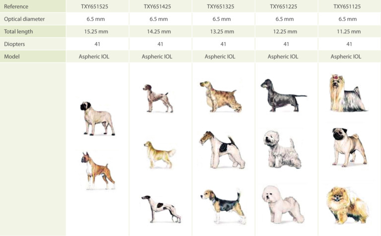 medidas de perro - AJL Ophthalmic